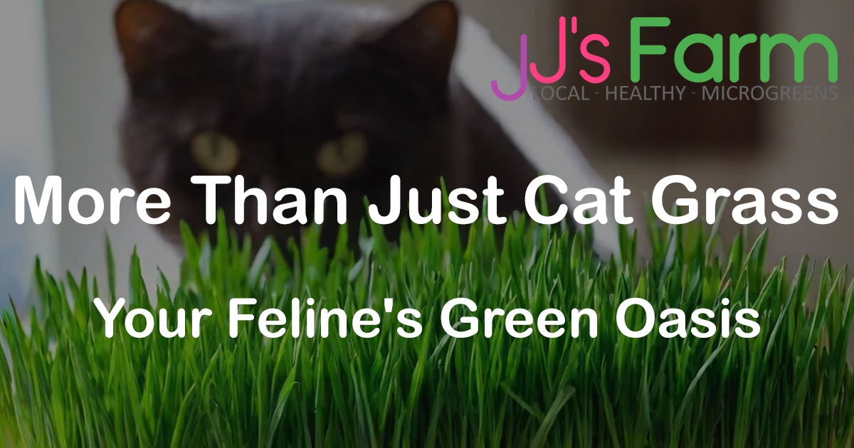 The Definitive Guide to Cat Grass: Your Feline's Green Oasis